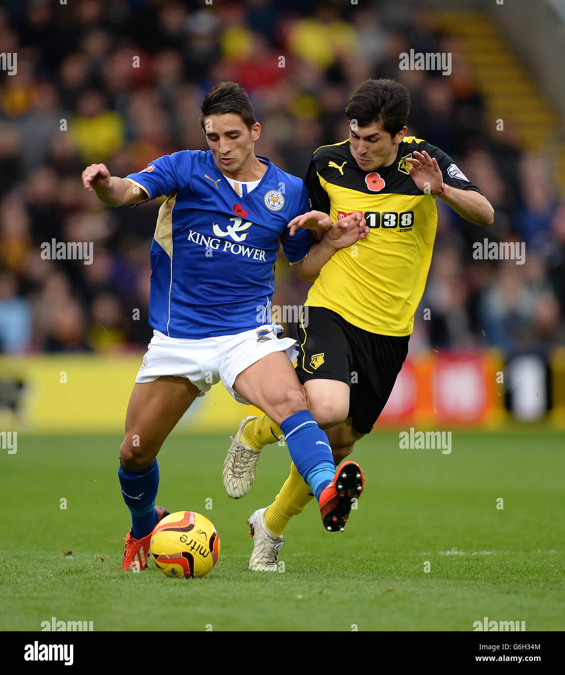 Leicester ampics hi-res stock photography and images - Alamy