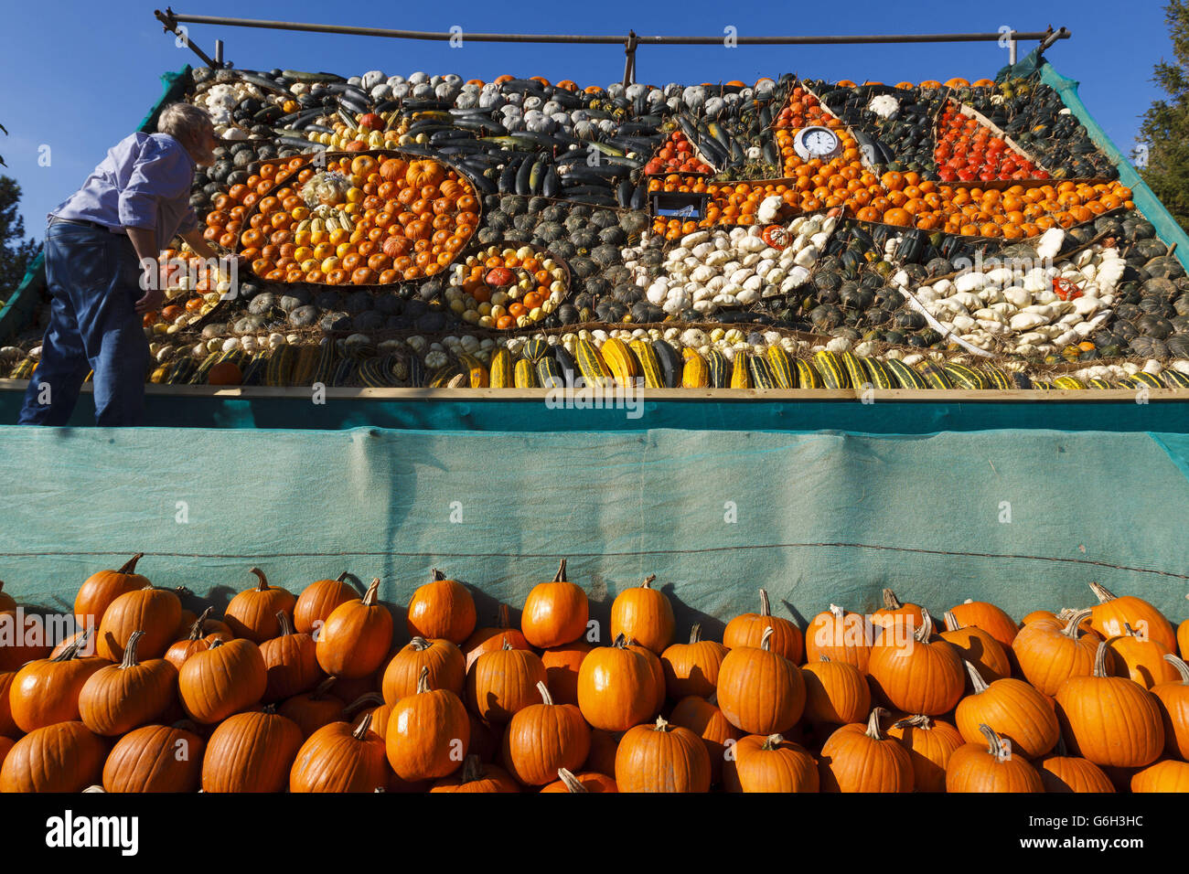 Slindon pumpkin display Stock Photo - Alamy