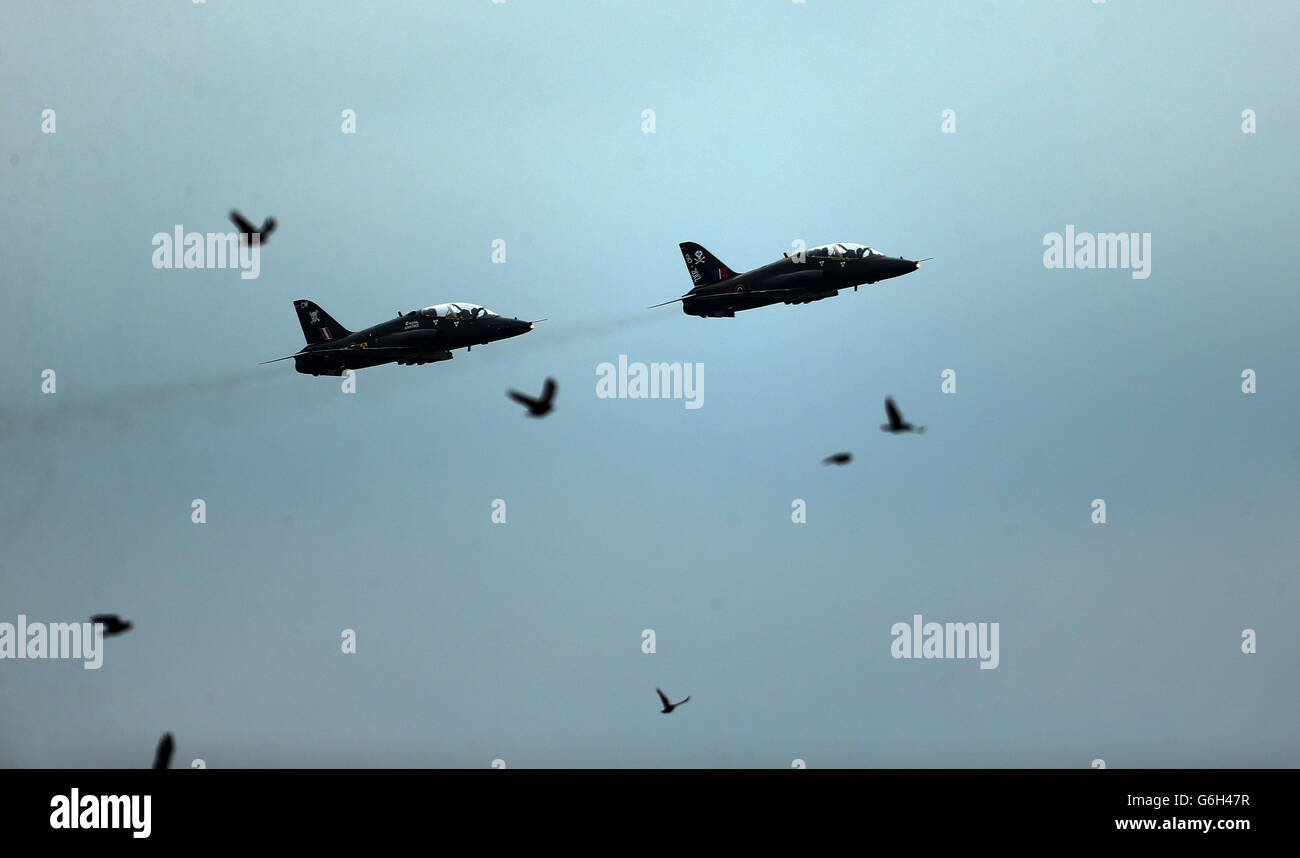 Exercise capable eagle hi-res stock photography and images - Alamy