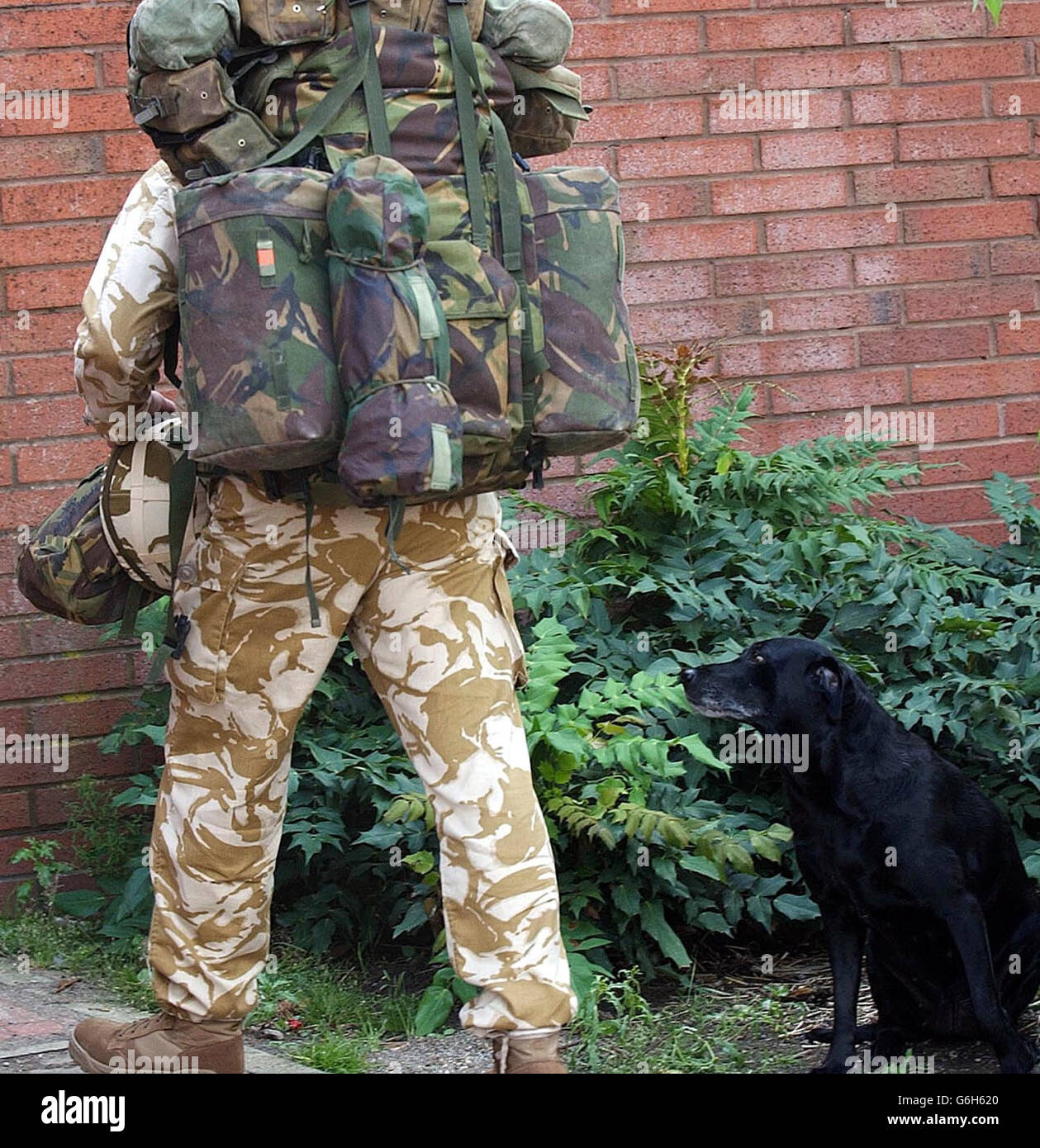 A soldier of the 1st Battallion of The Royal Green Jackets prepares to ...
