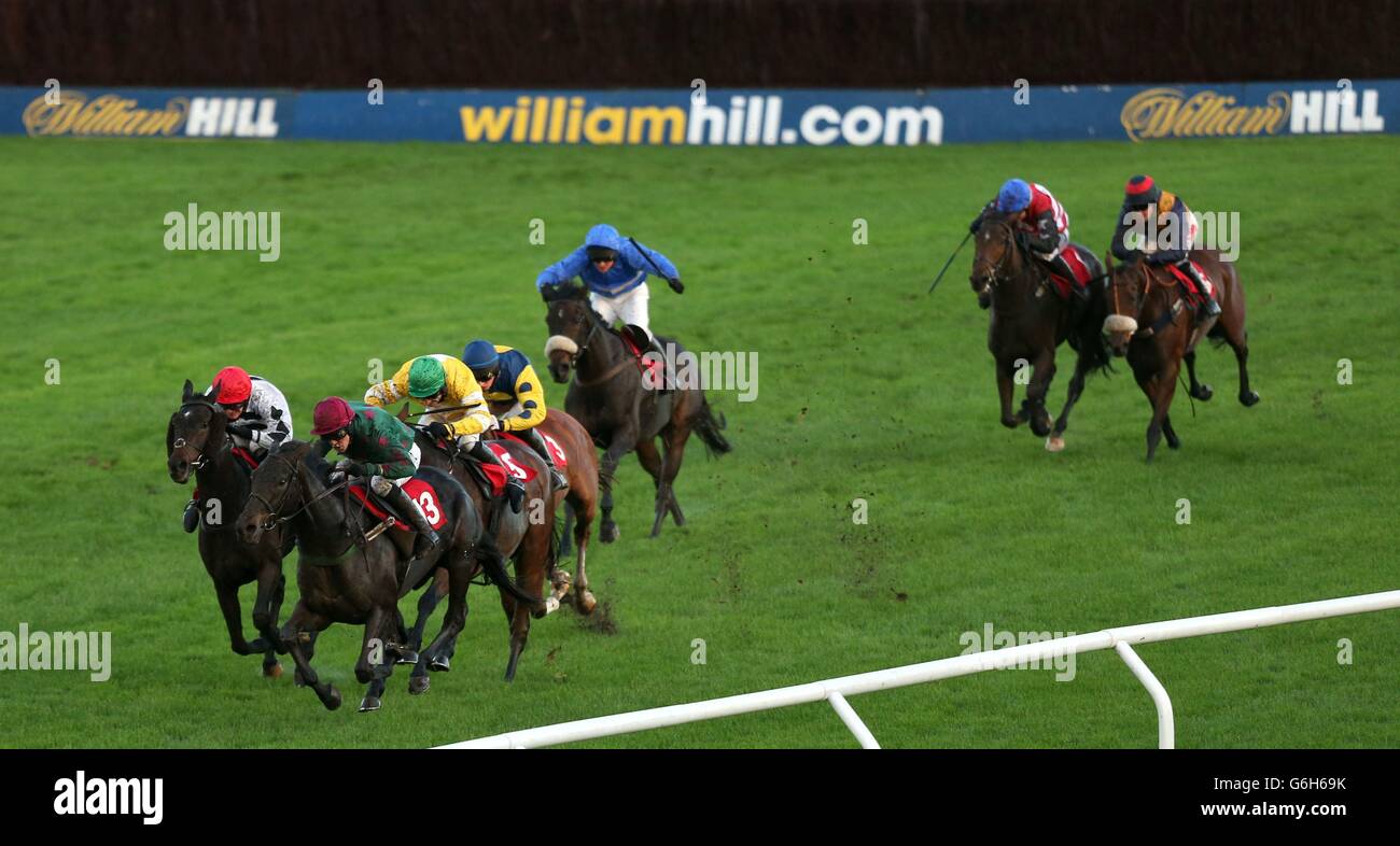 Warden Hill (number 13) ridden by Dominic Elsworth comes home to win ...