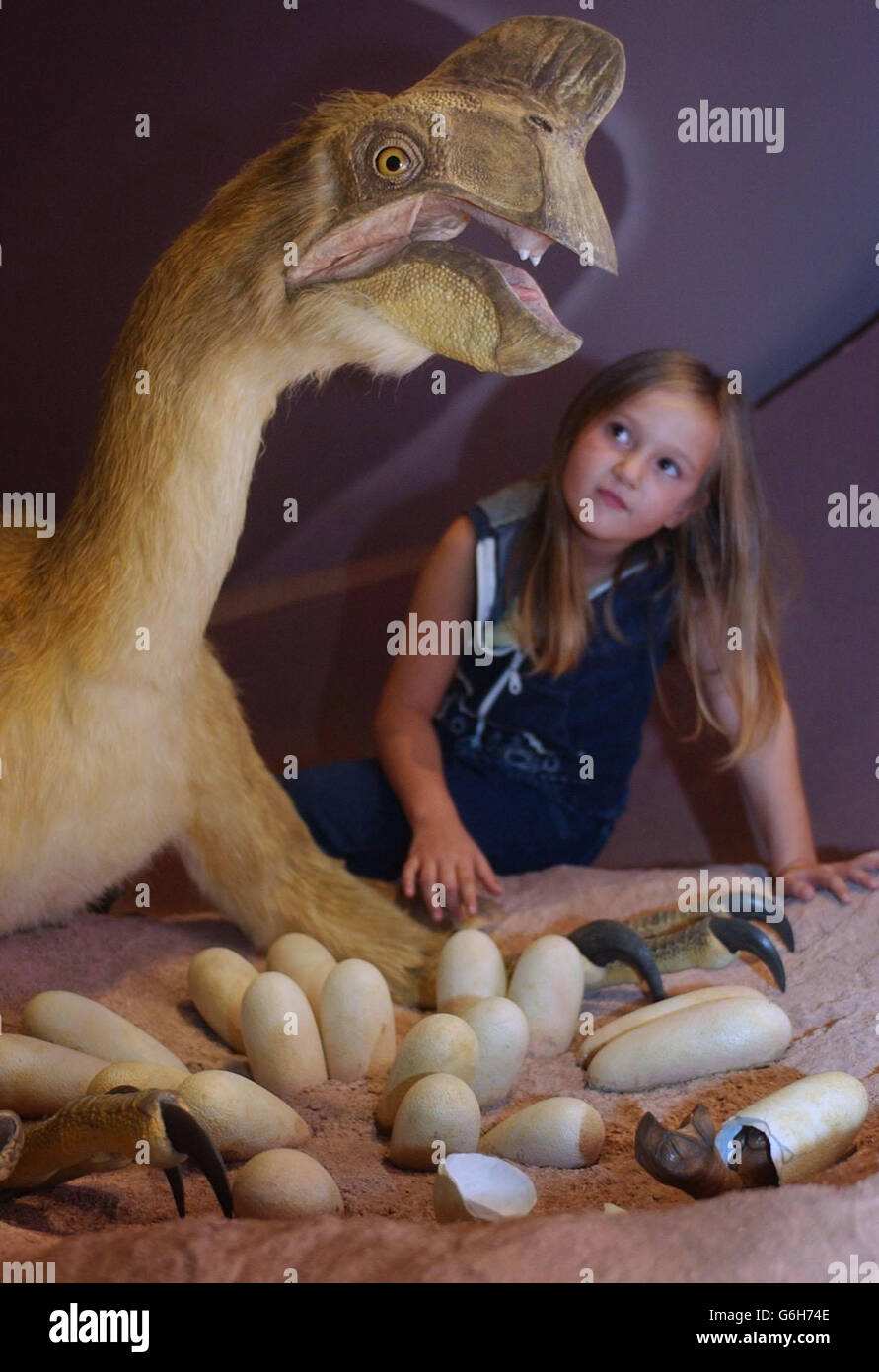 Animatronic oviraptor hi-res stock photography and images - Alamy