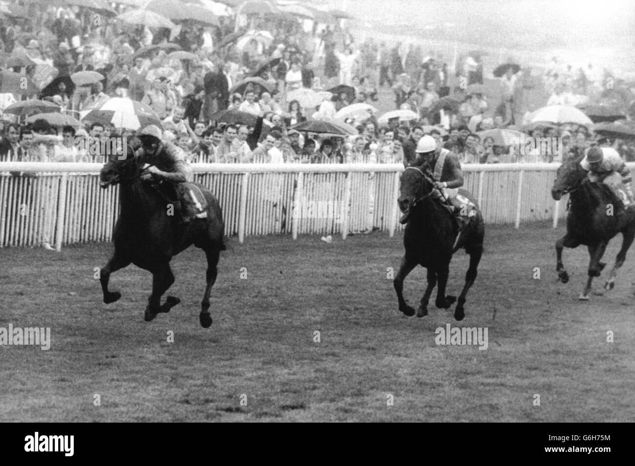 Horse Racing - Matchmaker International Group One - Triptych - York ...