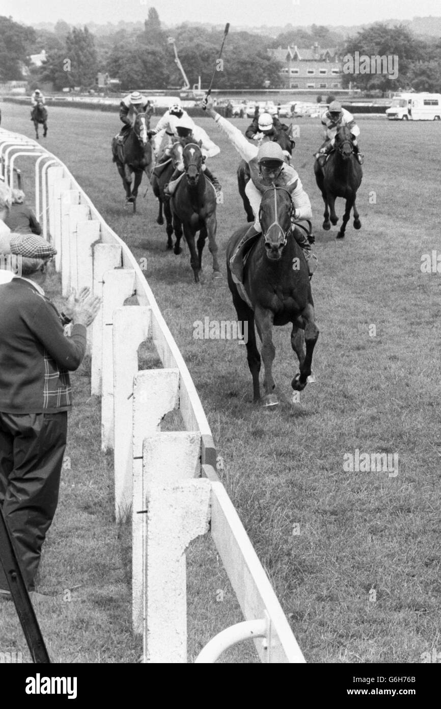Dancing brave horse hi-res stock photography and images - Alamy