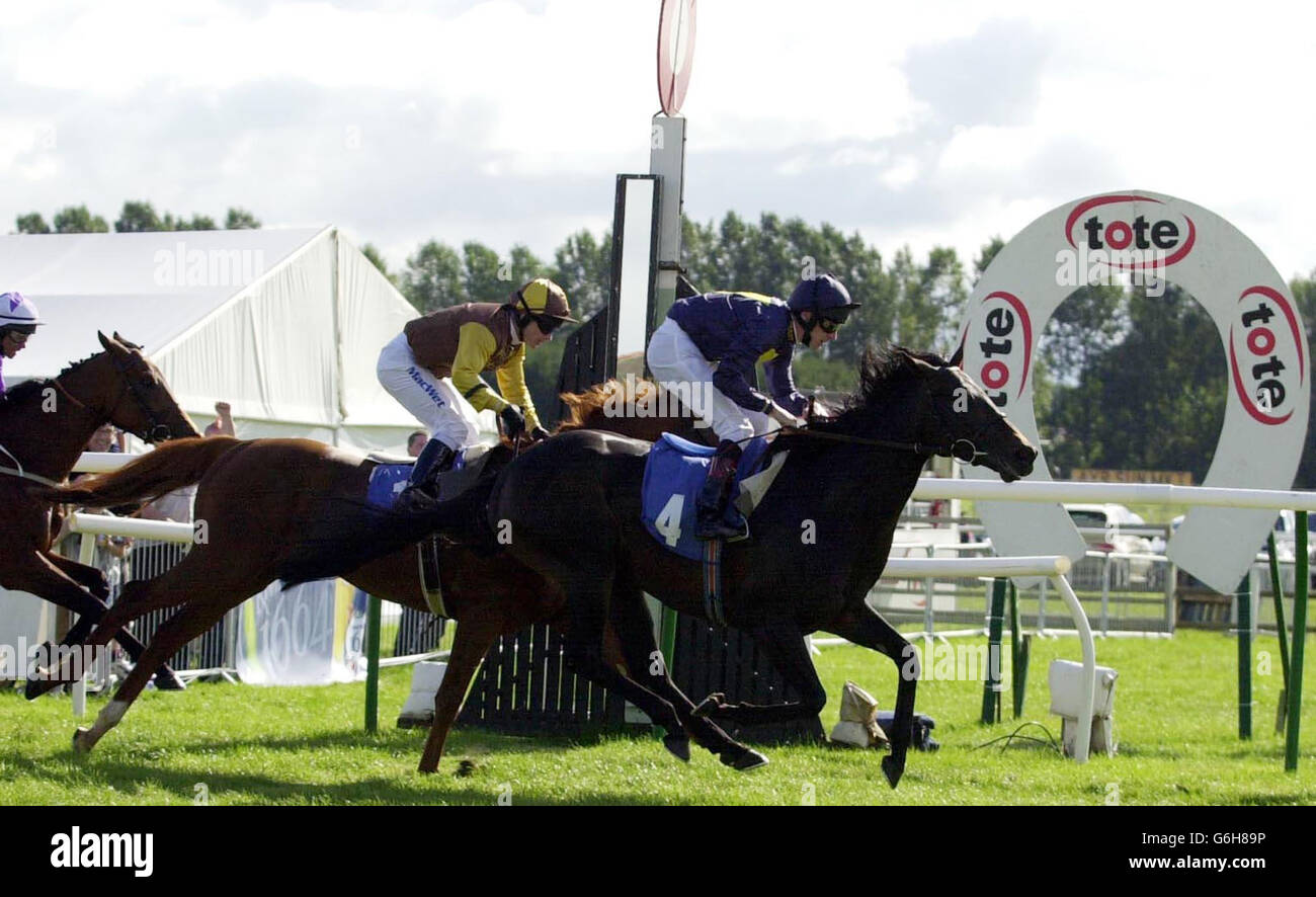 Ayr racecourse finishing line hi-res stock photography and images - Alamy