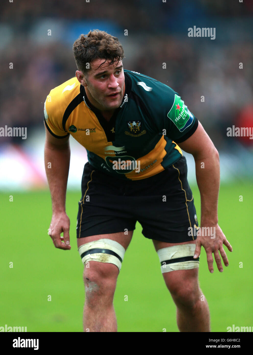 Northampton saints calum clark during the heineken cup hi-res stock ...