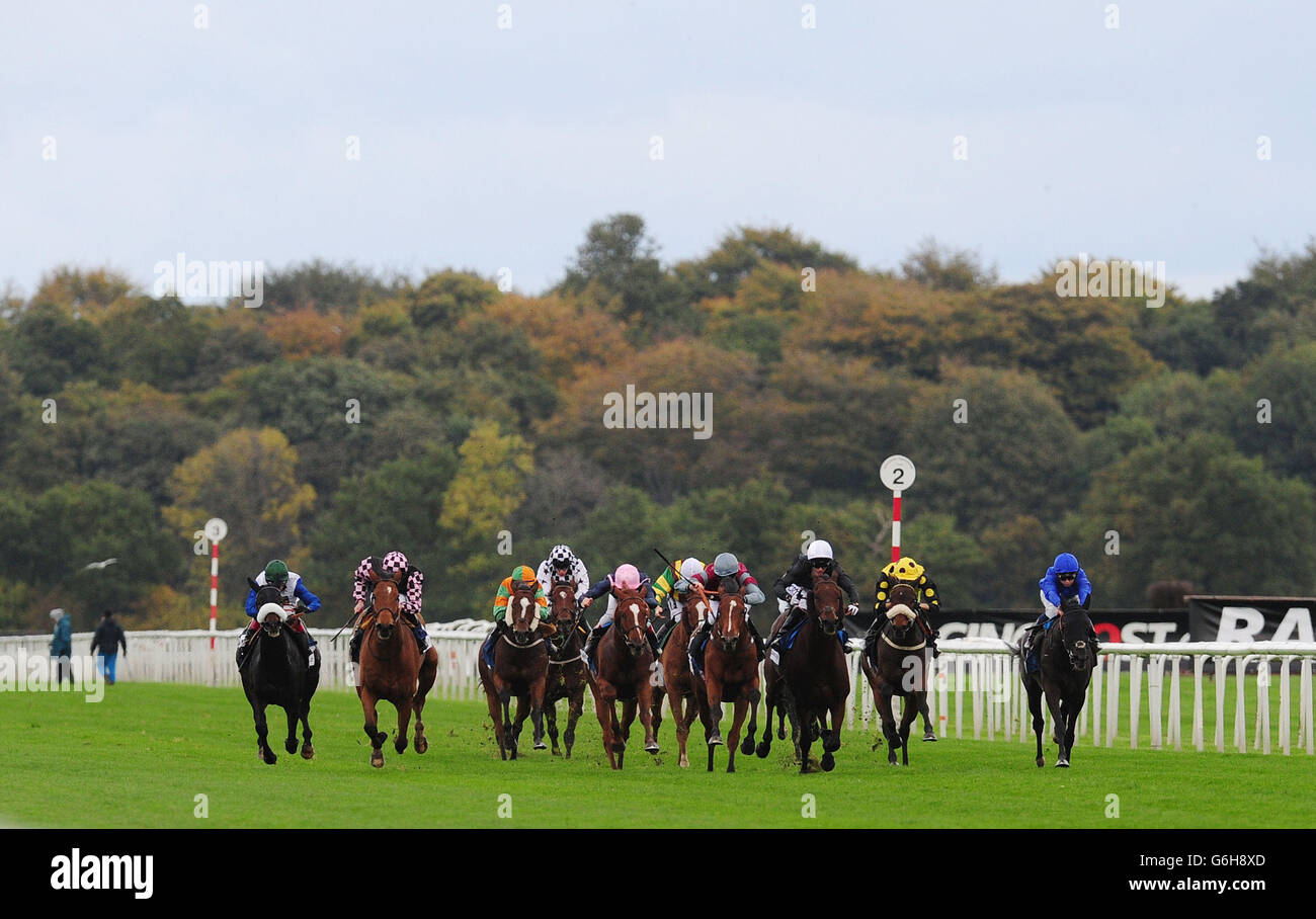 Horse Racing - Racing Post Trophy Saturday - Doncaster Racecourse Stock ...