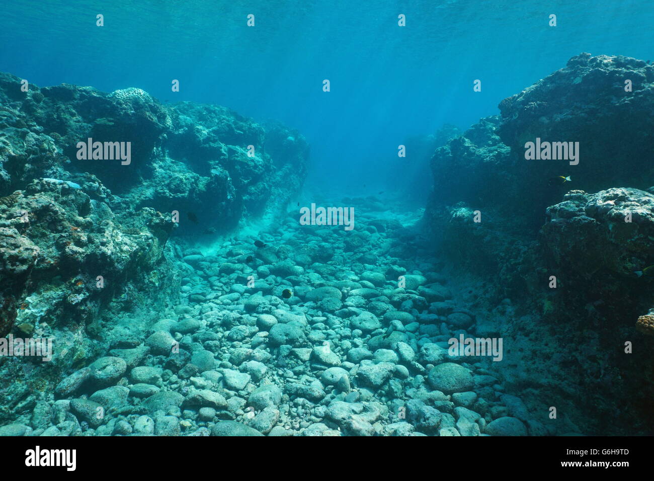 Underwater landscape, seabed carved by swell into the reef, Huahine ...