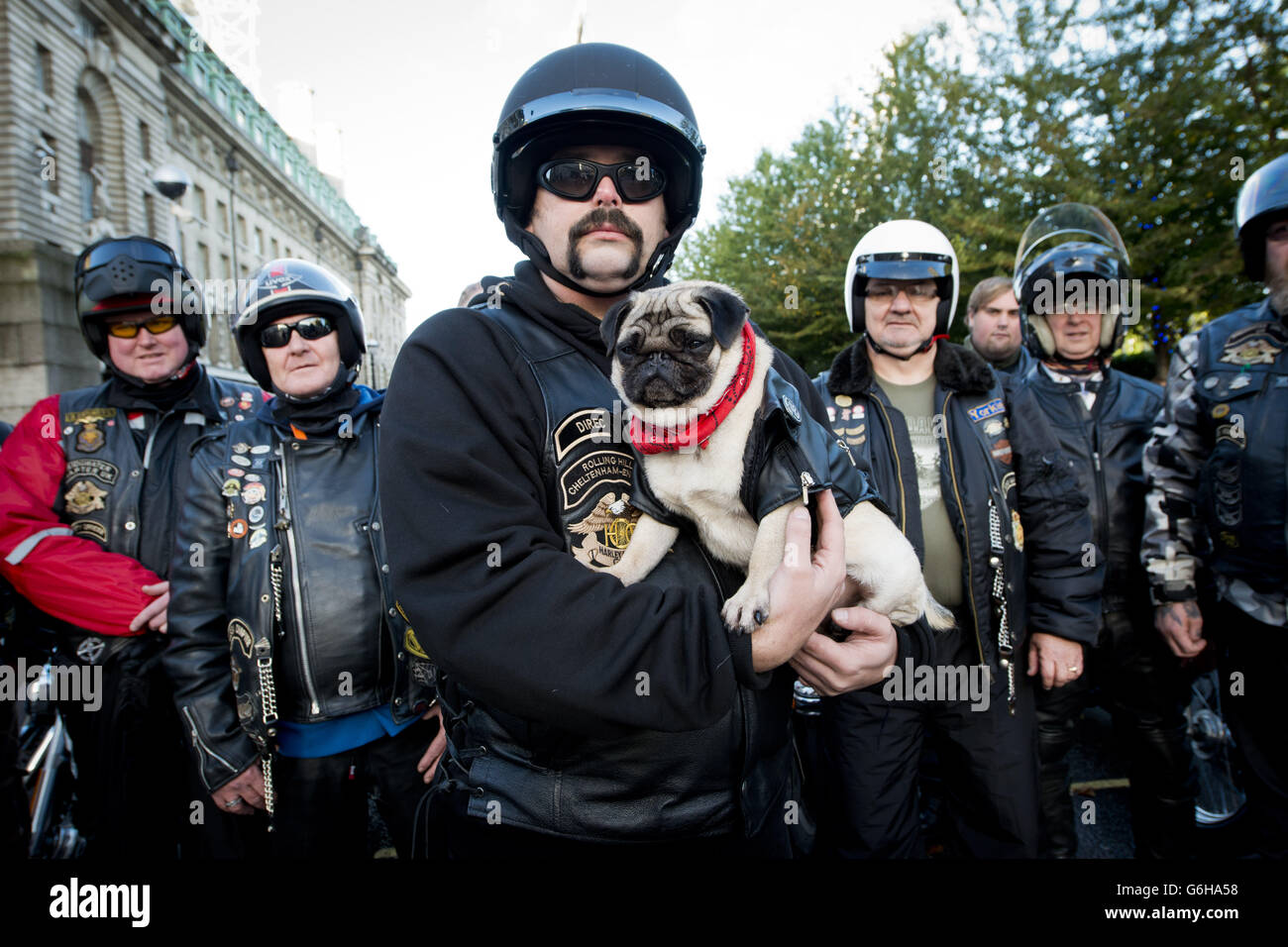 Mabel, the pug from Three's recent advertising campaign with biker ...