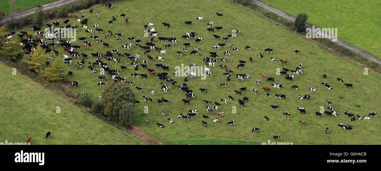 Helicopter cattle hi-res stock photography and images - Alamy
