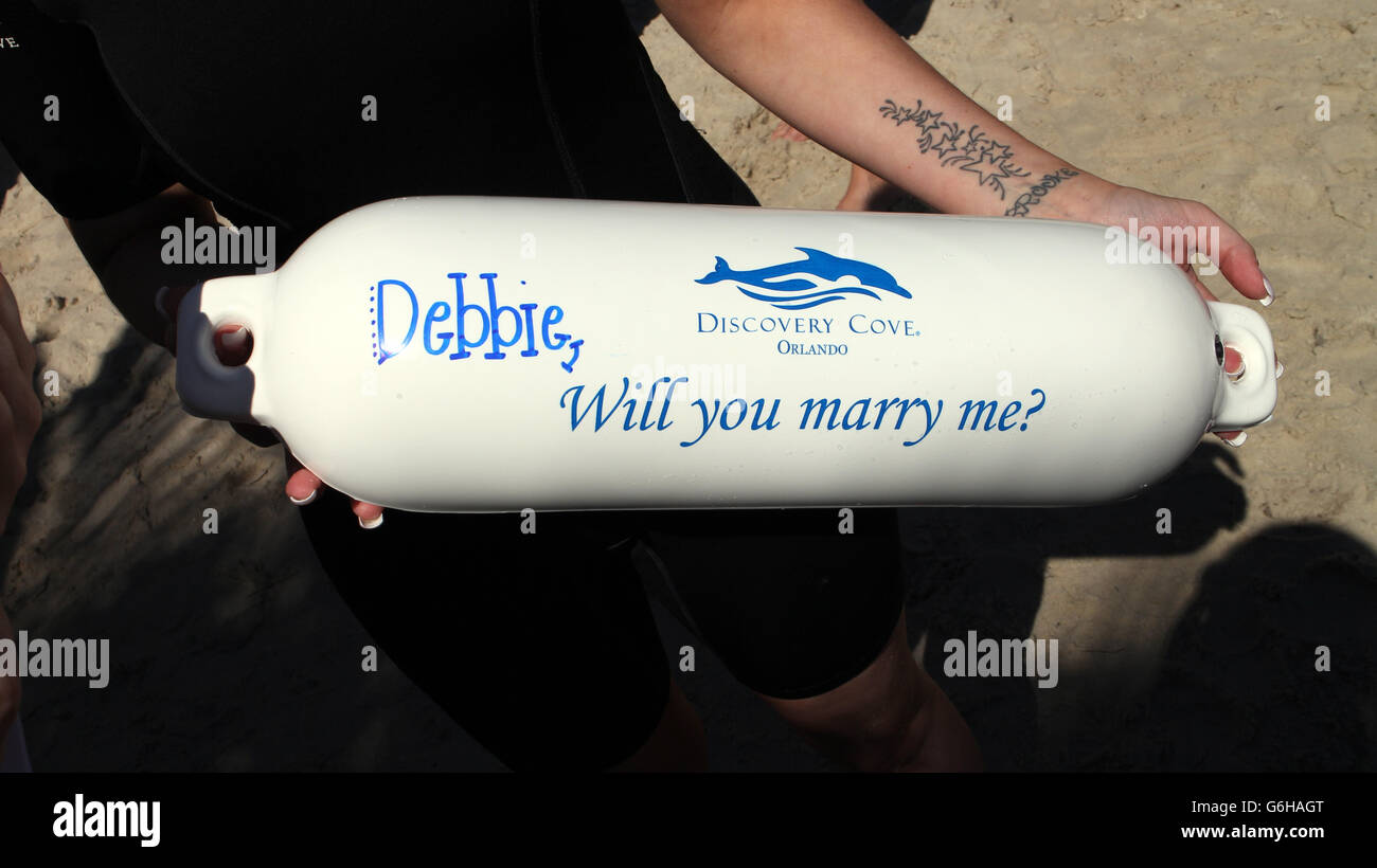 Dolphin proposal hi-res stock photography and images - Alamy