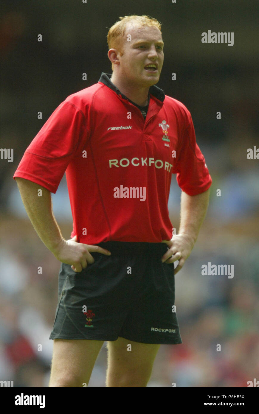 Martyn williams wales v england hi-res stock photography and images - Alamy