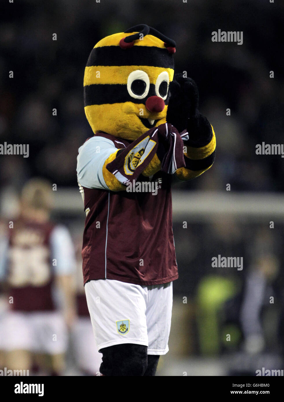 Burnley mascot bertie bee hi-res stock photography and images - Alamy