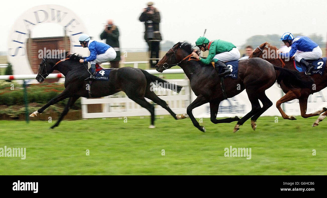 Horseracing action tophams061003 michael hills hi-res stock photography ...