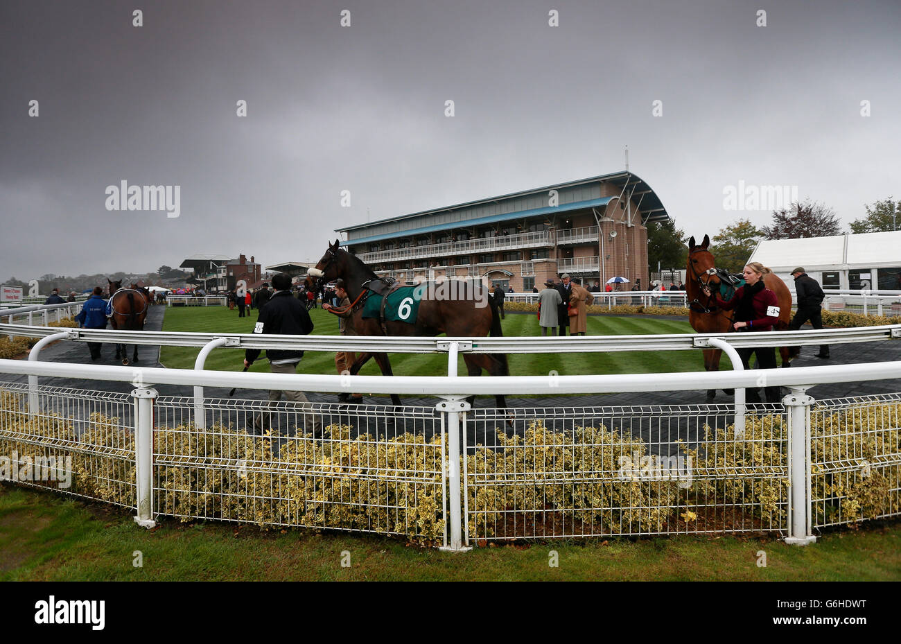 Horse Racing - Warwick Racecourse. Horses in the parade ring at Warwick ...