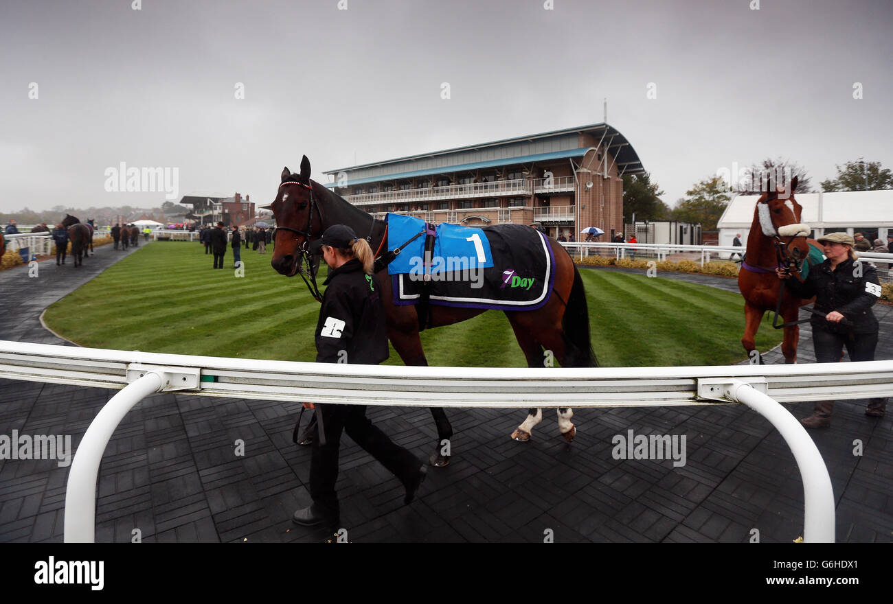 The parade ring at warwick racecourse hi-res stock photography and ...