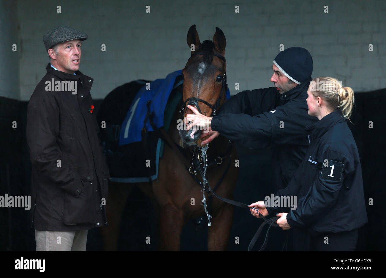 Generic trainer hi-res stock photography and images - Alamy