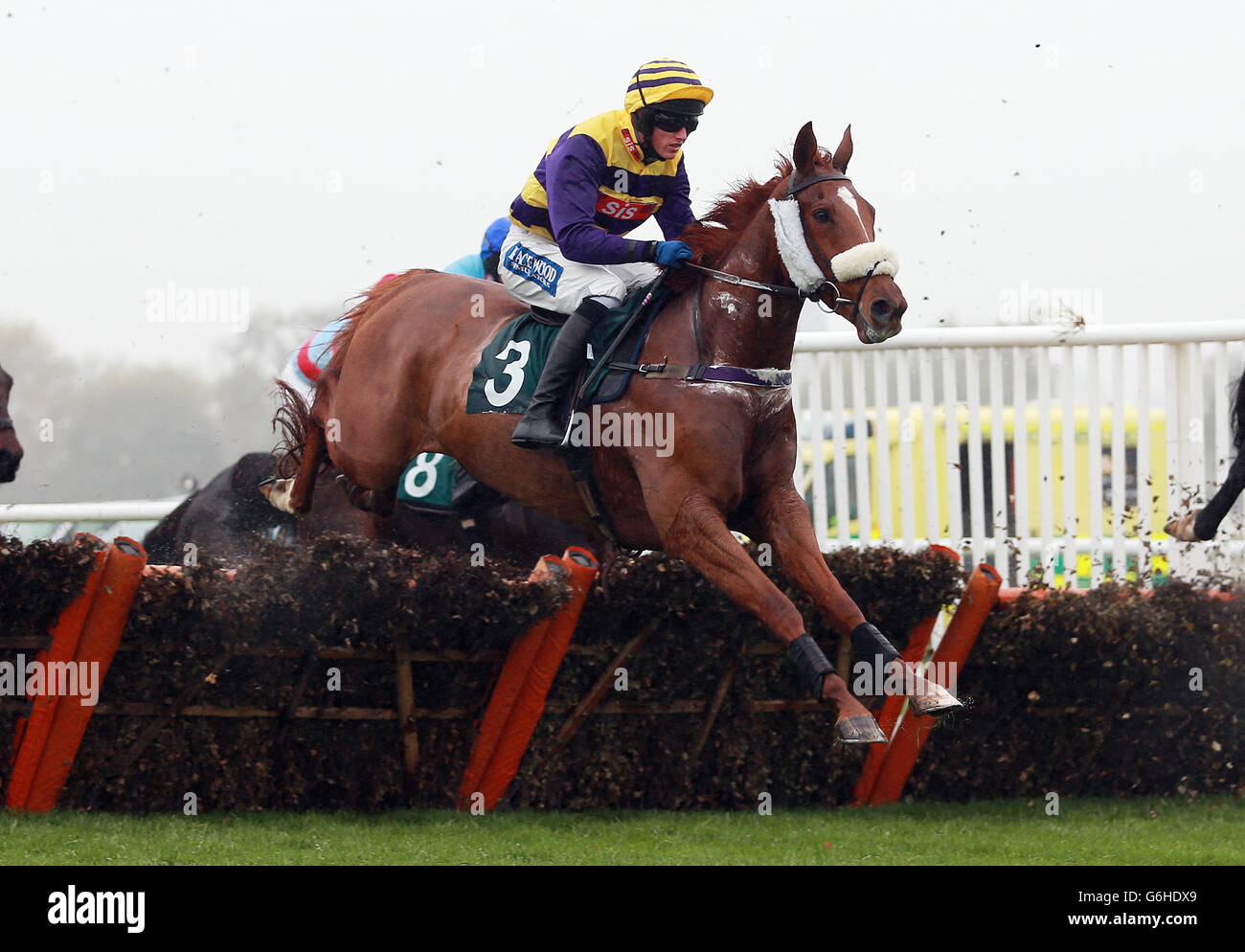Signage at warwick racecourse hi-res stock photography and images - Alamy