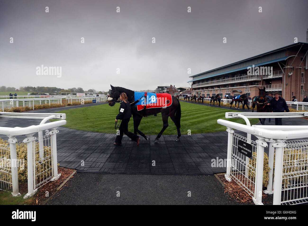 Horses in the parade ring at Warwick Racecourse, Warwickshire Stock ...