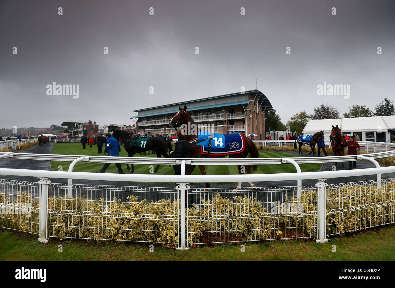 Horses in the parade ring at Warwick Racecourse, Warwickshire Stock ...