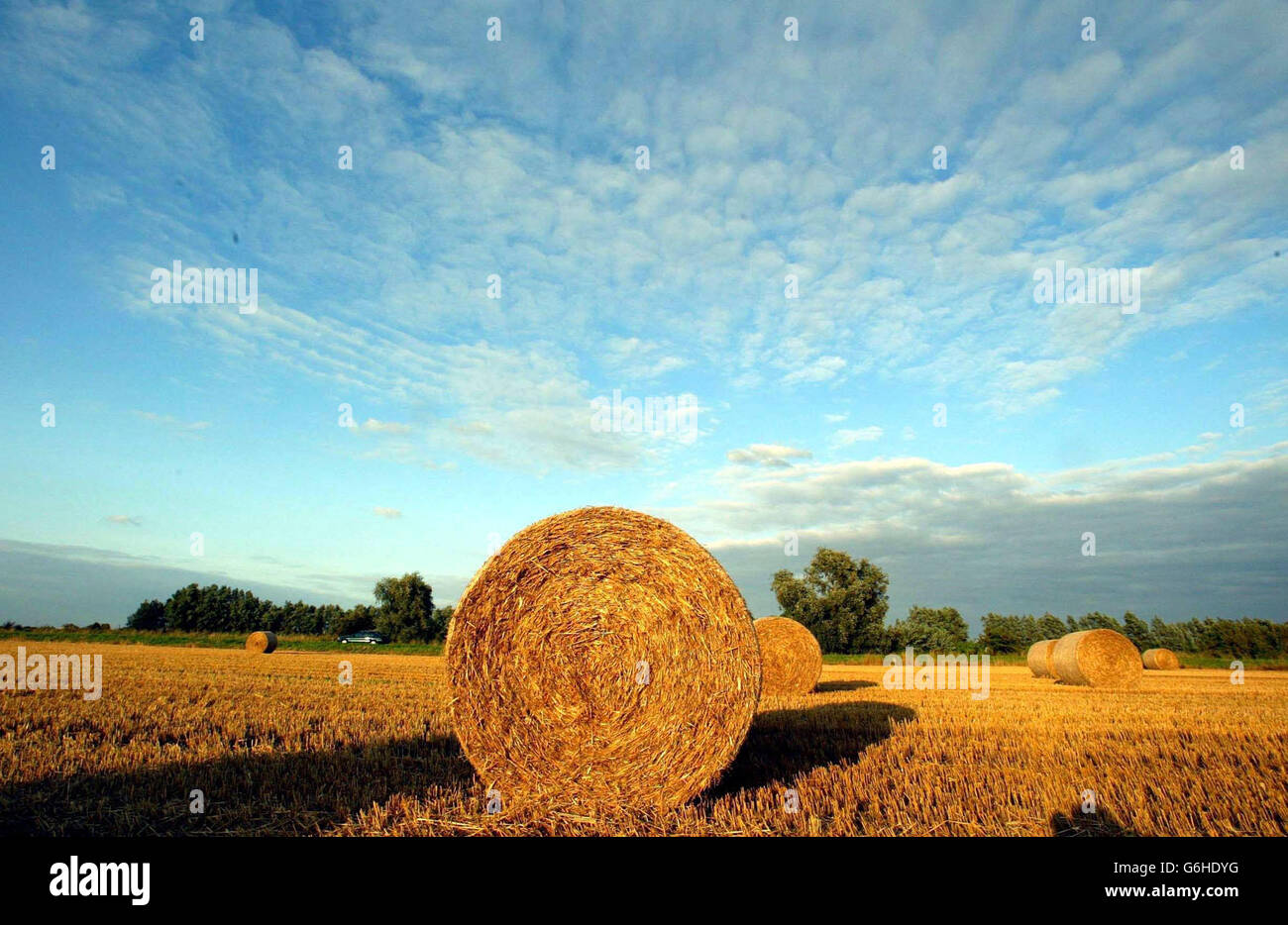 Straw Bales in Fields Stock Photo - Alamy