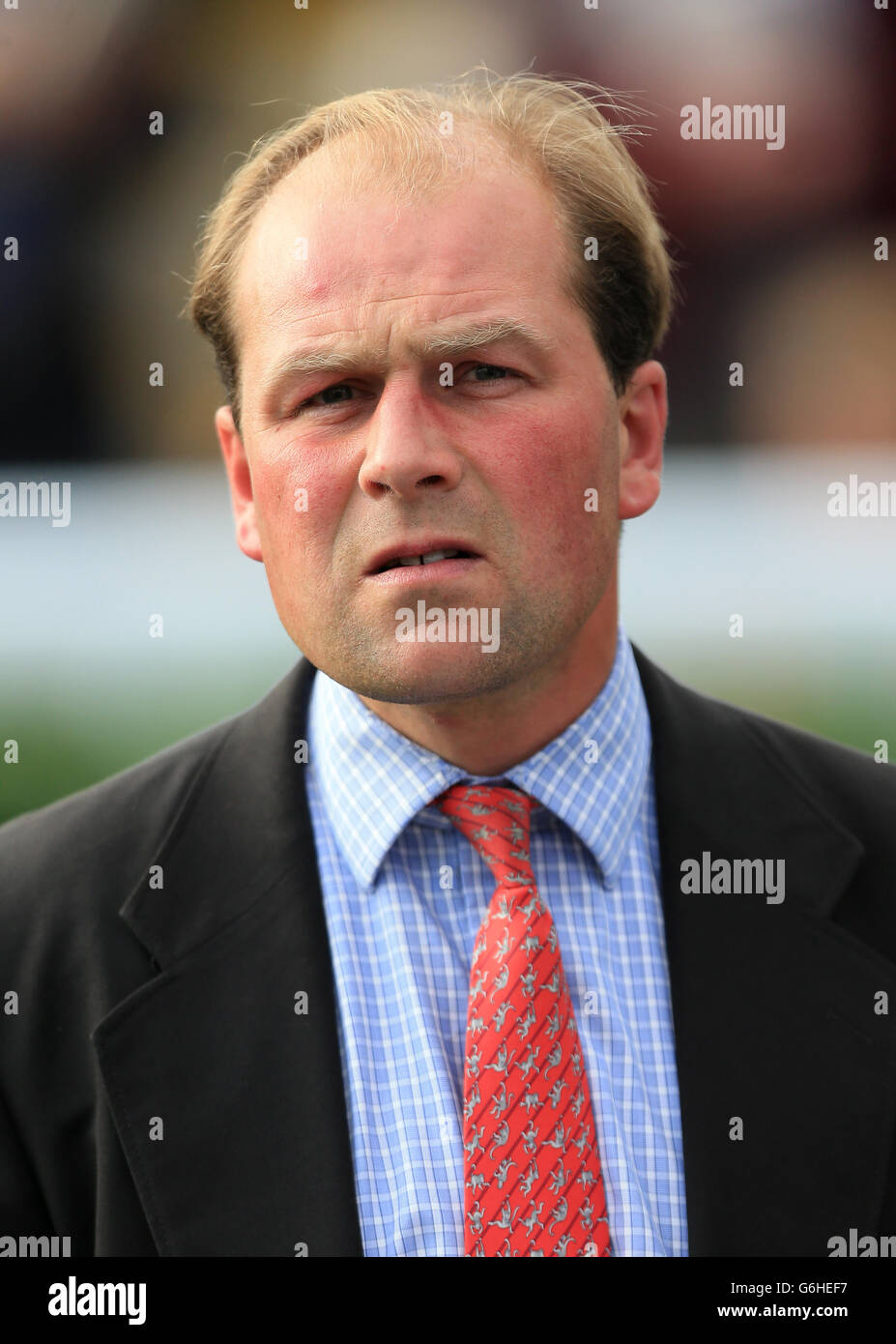 Harry trainer hi-res stock photography and images - Alamy