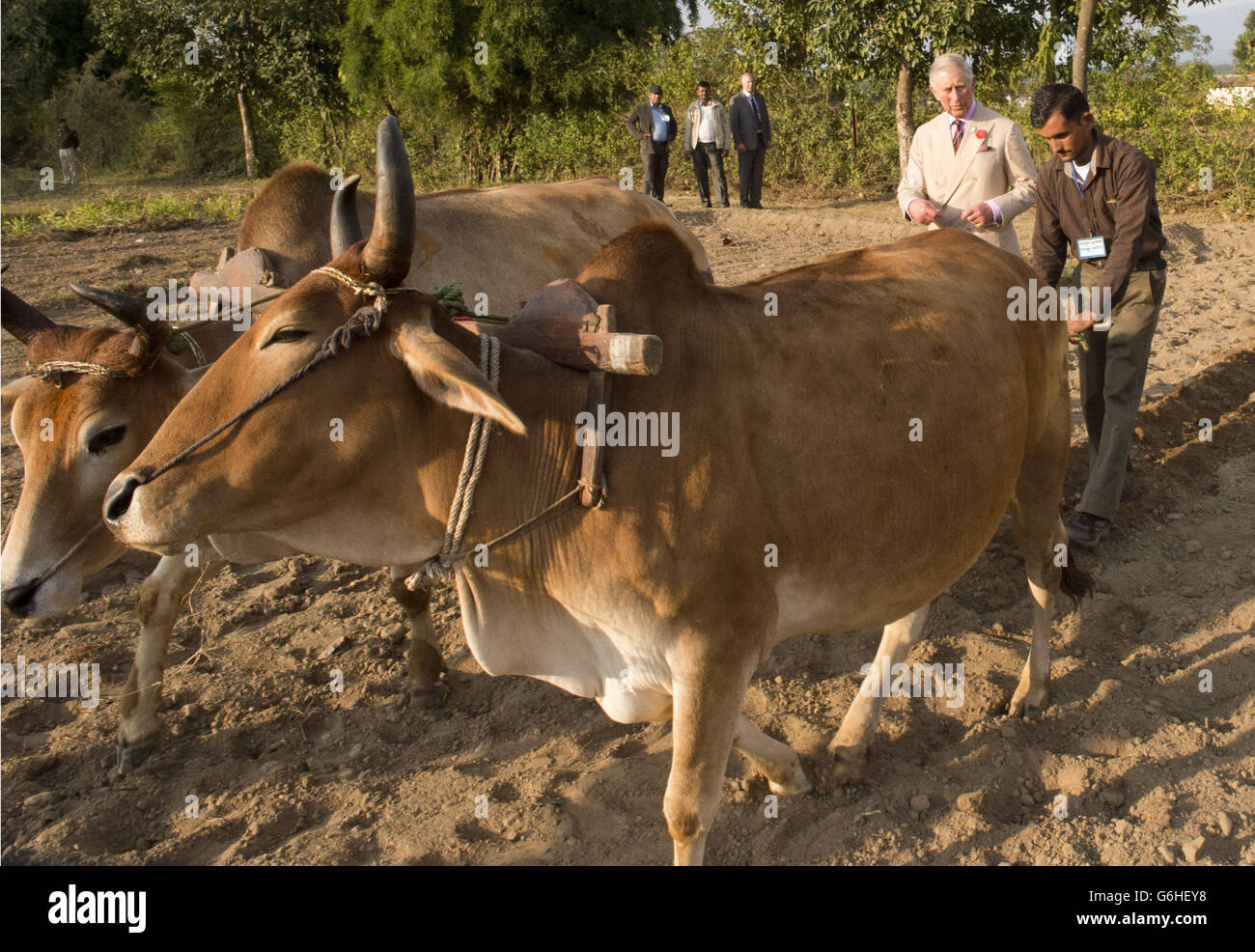 The Prince of Wales sows rice seed during a visit to the Navdanya ...