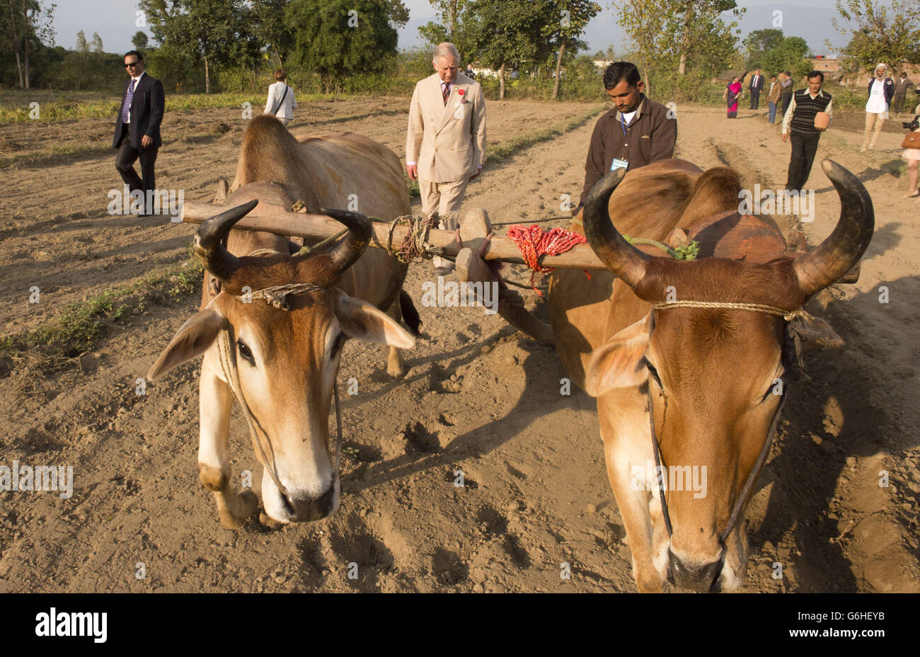 The Prince of Wales sows rice seed during a visit to the Navdanya ...