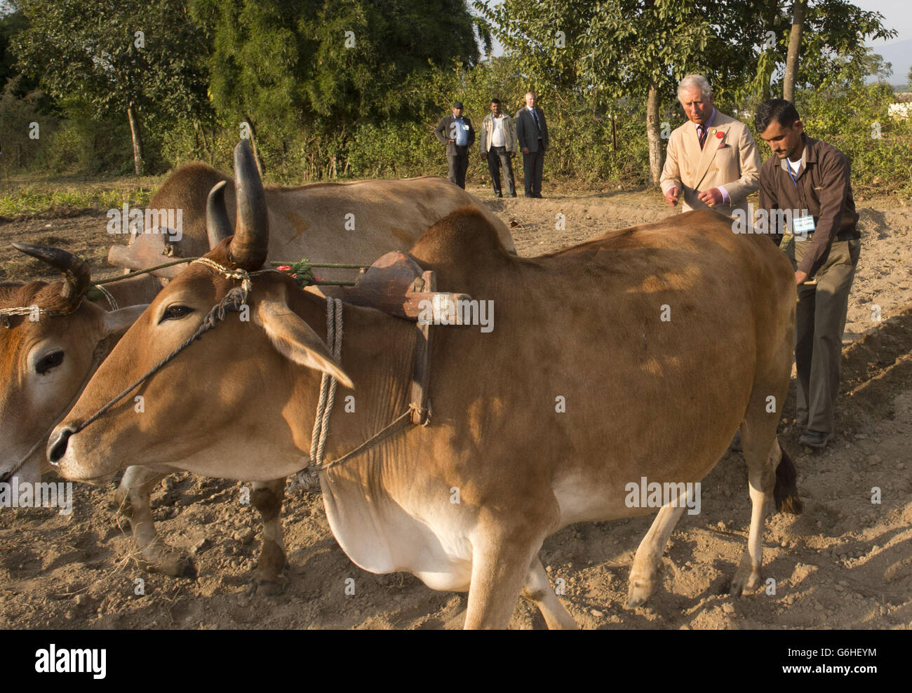 The Prince of Wales sows rice seed during a visit to the Navdanya ...