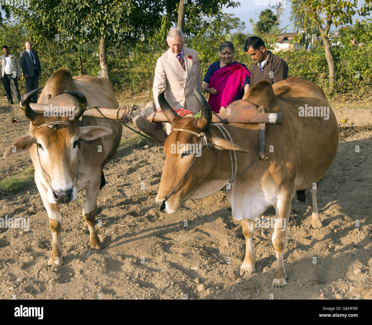 The Prince of Wales sows rice seed during a visit to the Navdanya ...