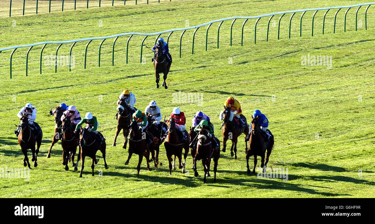 Milly waters noseband green hat hi-res stock photography and images - Alamy