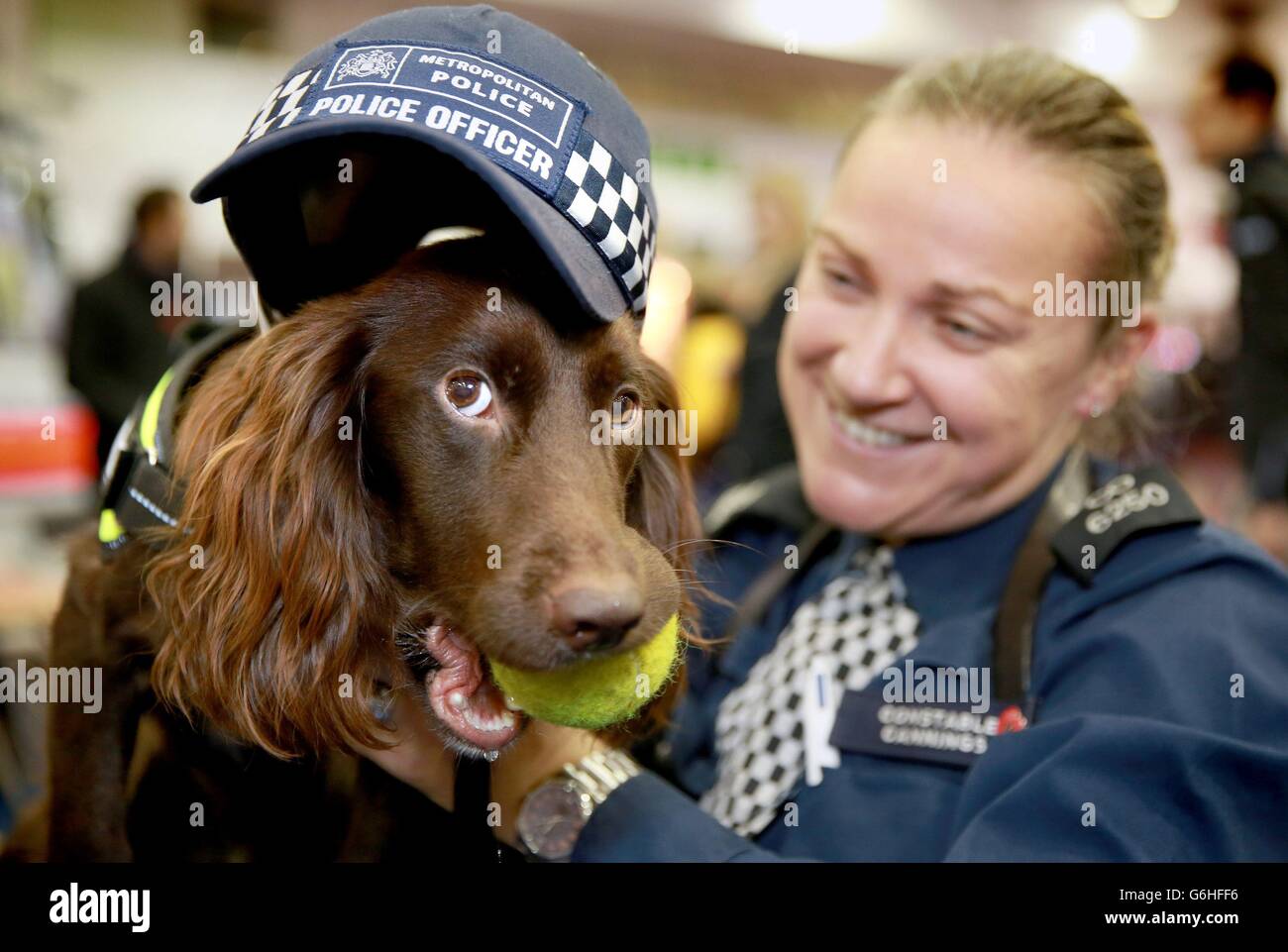 Lexi the Cocker Spaniel police dog with Constable Helen Canning at the ...