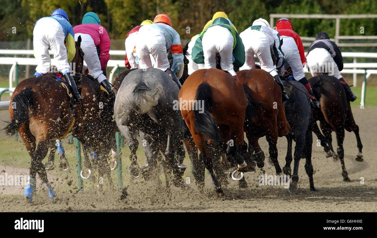 Lingfield park race track hi-res stock photography and images - Alamy