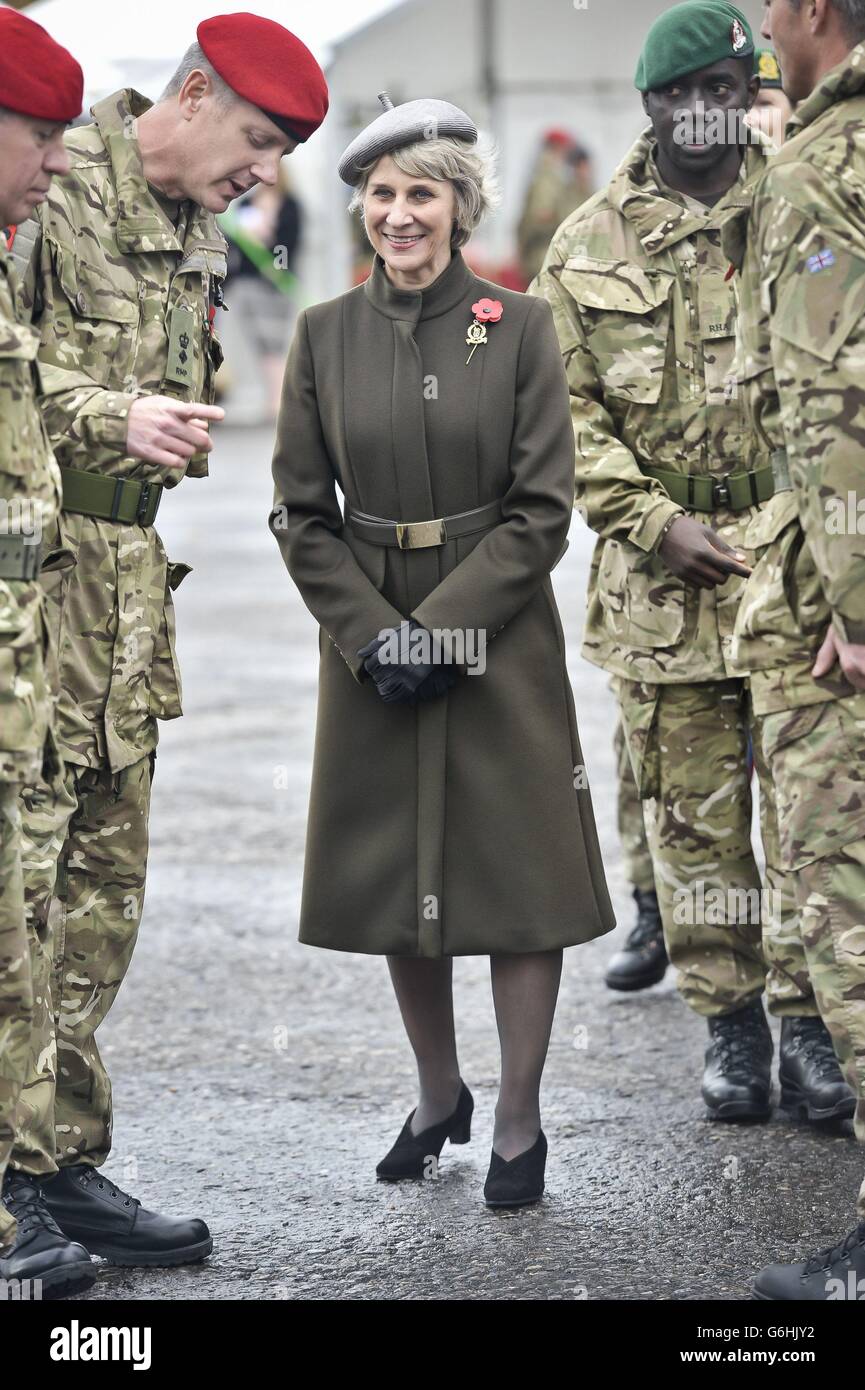 Medal parade in Wiltshire Stock Photo - Alamy