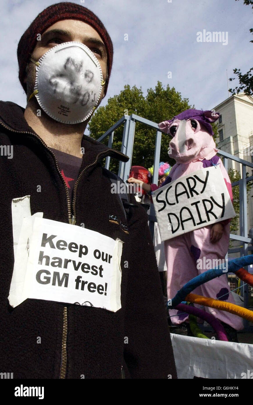 Politics cow agriculture protesting demonstrating mask scary dairy hi ...