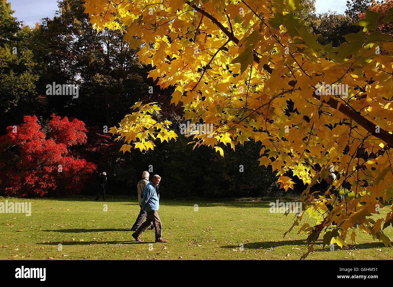 Environment - Thorp Perrow Arboretum Stock Photo - Alamy