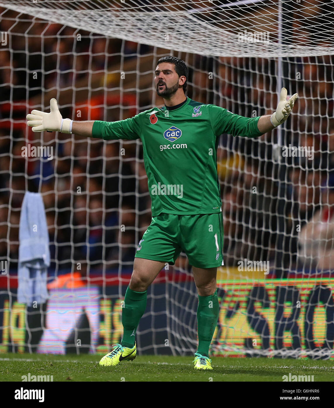 Soccer - Barclays Premier League - Crystal Palace v Everton - Selhurst ...