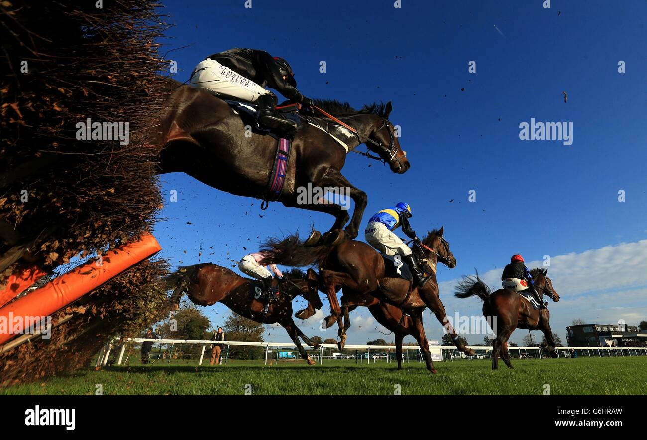 Horses jump the last fence in The Weatherbys Hamilton Insurance Novices ...