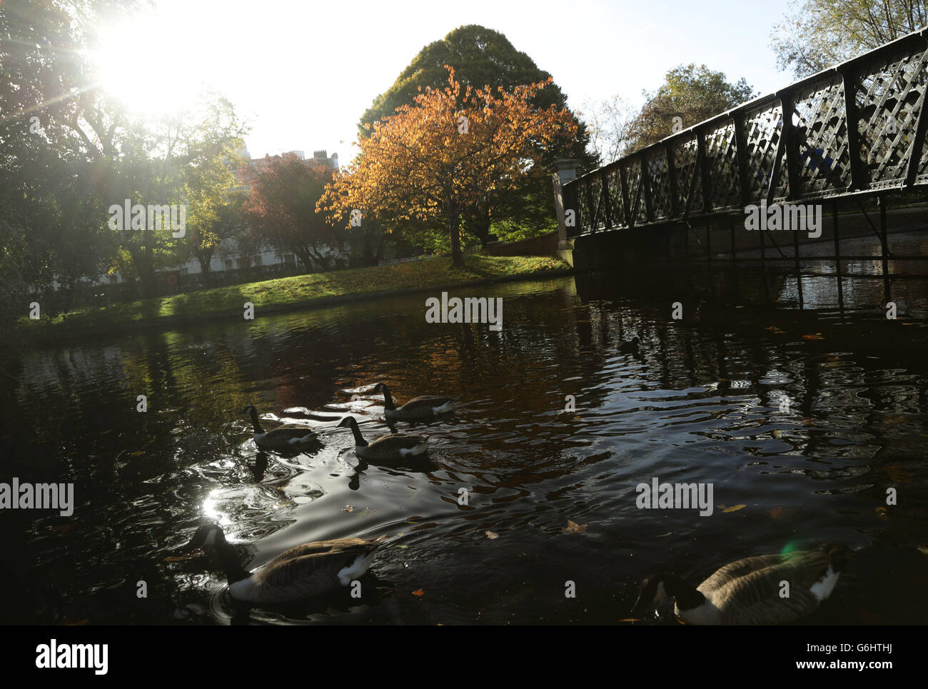 Autumn weather Nov 15th Stock Photo - Alamy