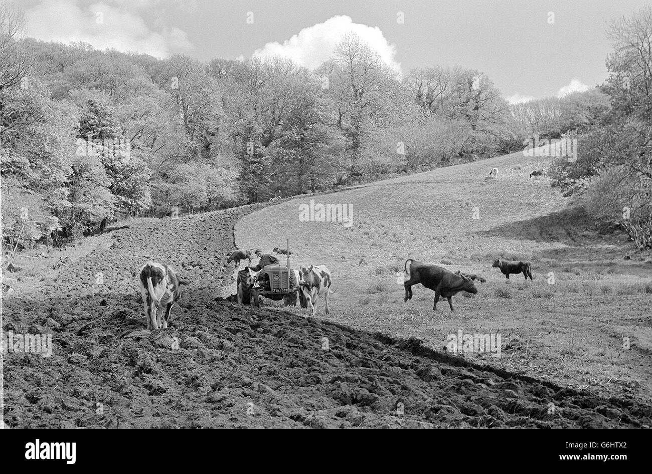 Resistance movement Black and White Stock Photos & Images - Alamy
