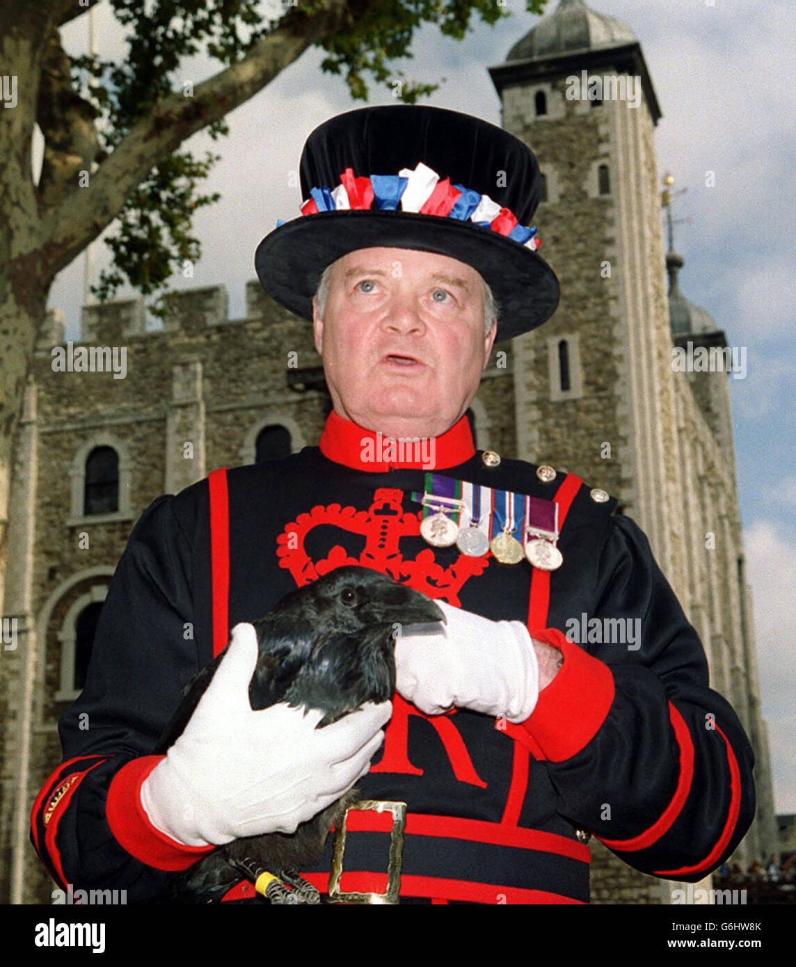 Raven bird human hi-res stock photography and images - Alamy