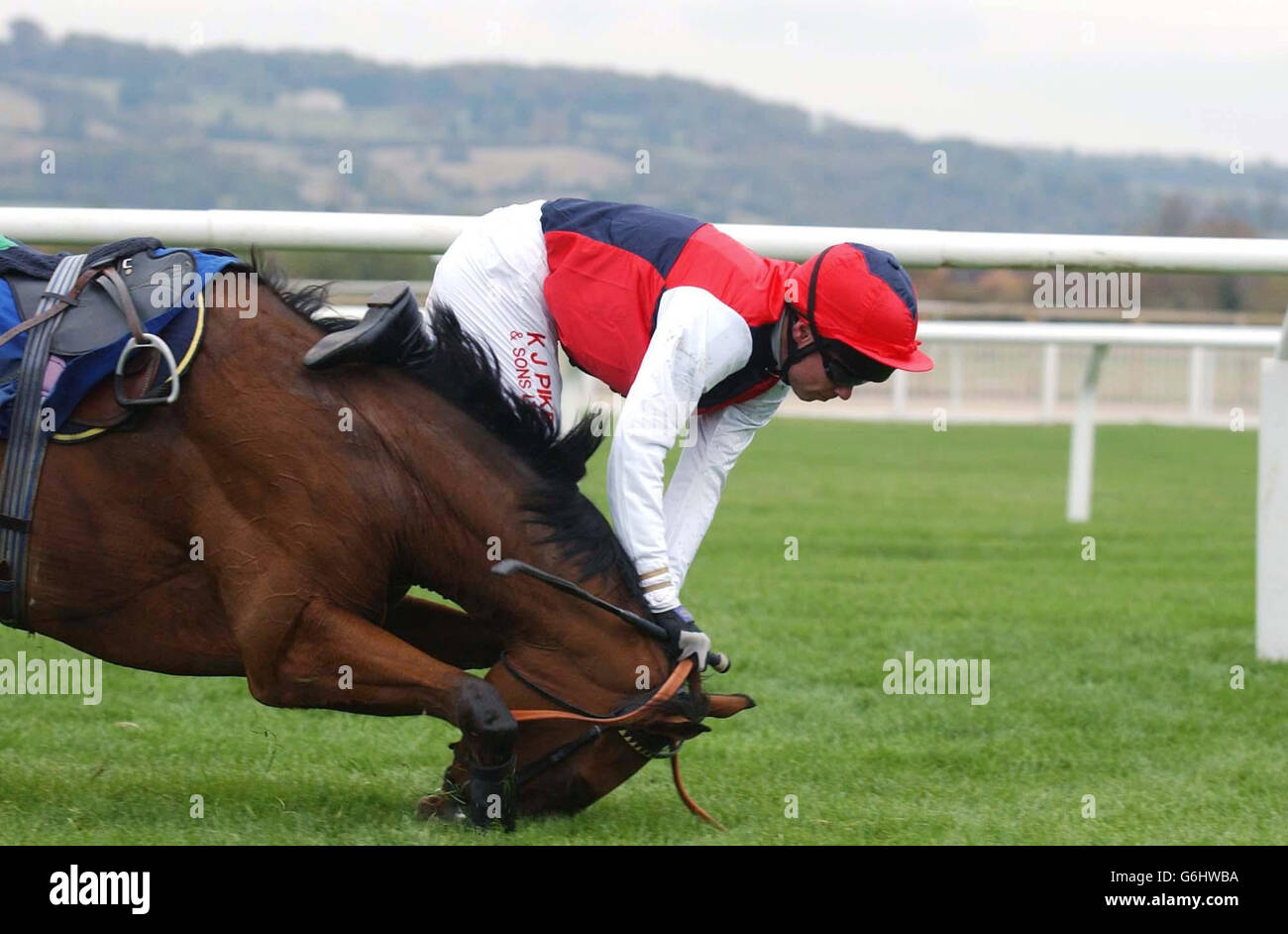 RACING Cheltenham Joshua Stock Photo - Alamy