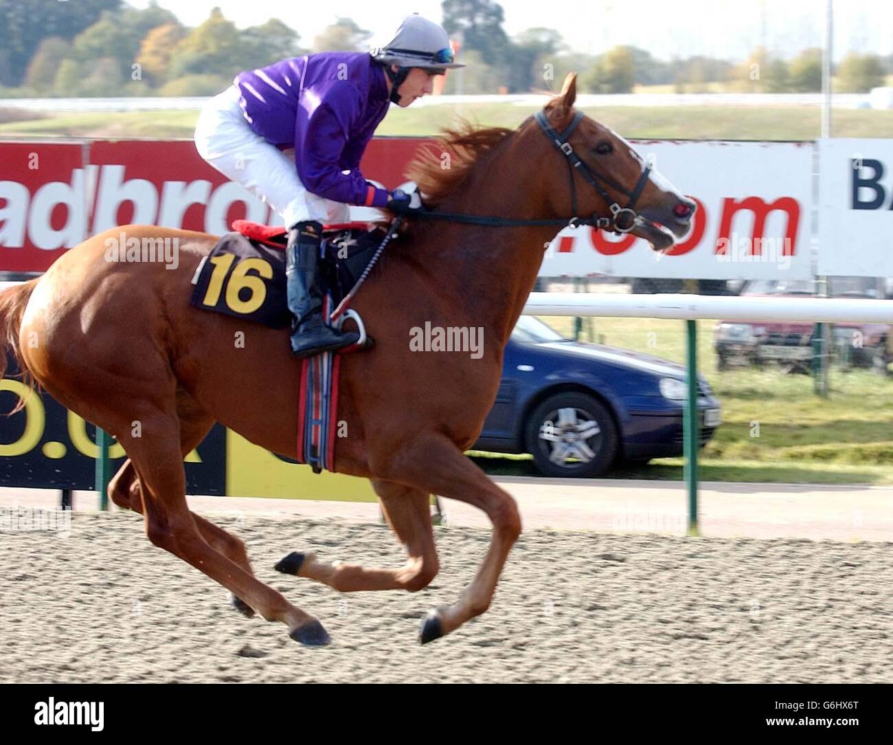 Lingfield races. Sestina jockey Chris Catlin, at Lingfield races Stock ...
