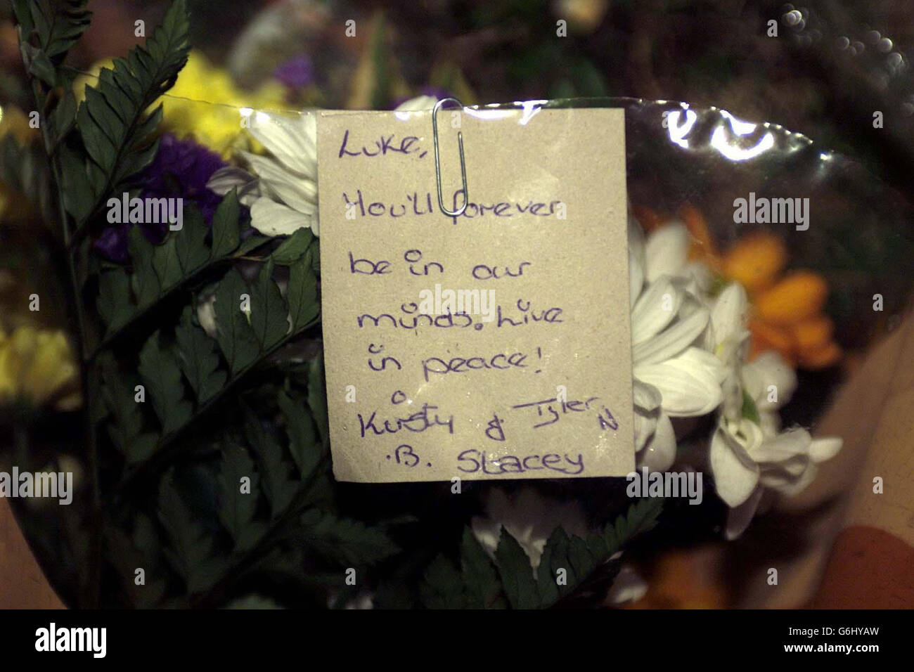 Luke Walmsley High Resolution Stock Photography and Images - Alamy