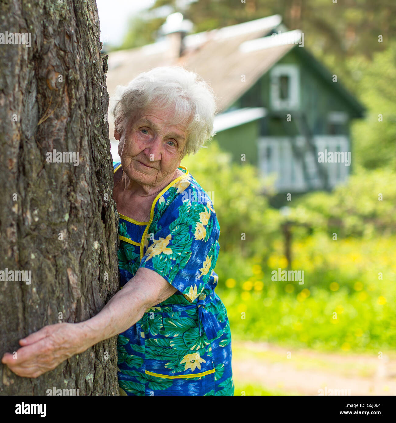 Lady hugging a tree hi-res stock photography and images - Alamy