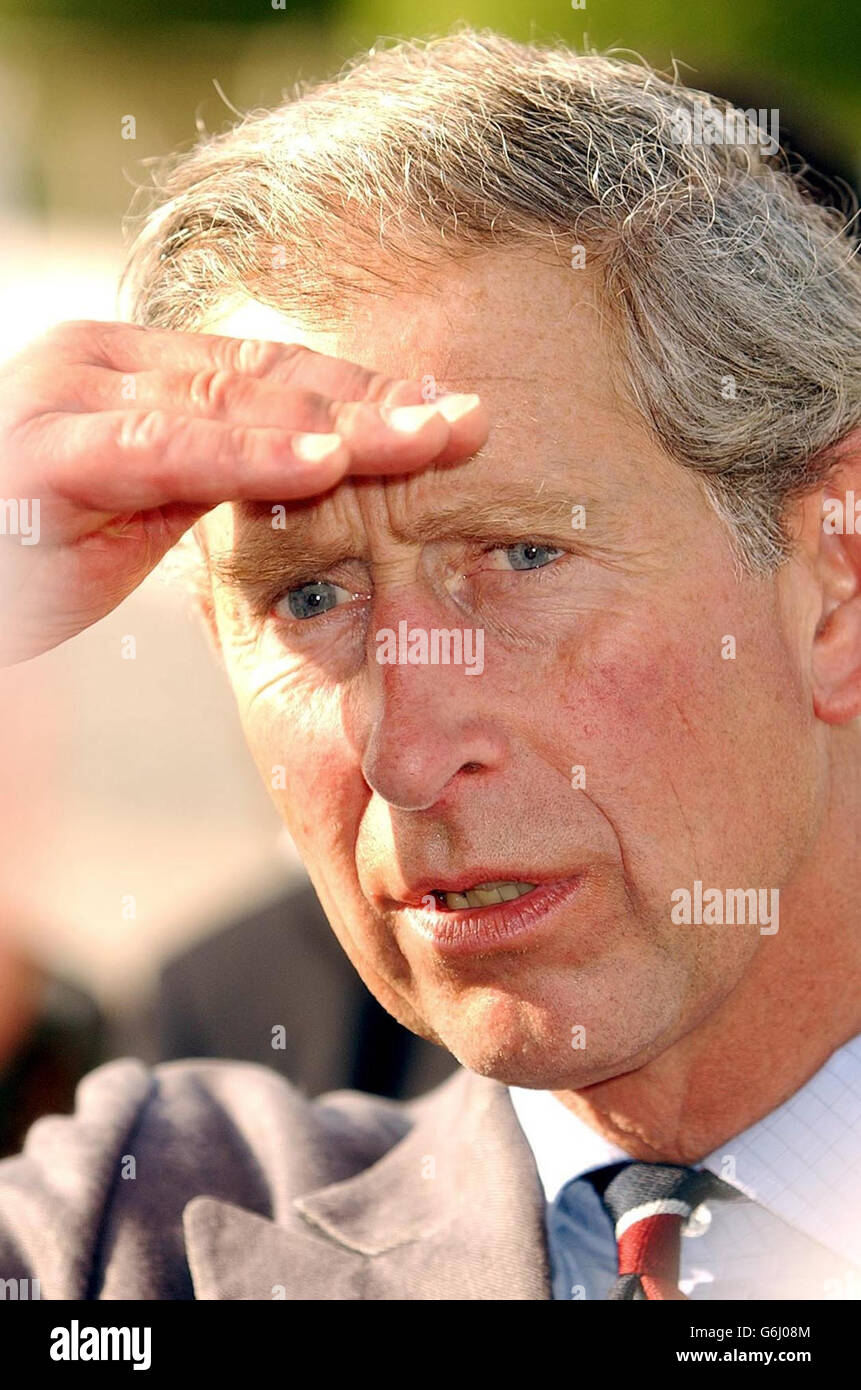 Royalty monarchy head head shot prince of wales prince charles hi-res ...
