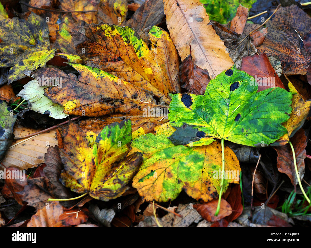 Langsett reservoir hi-res stock photography and images - Alamy