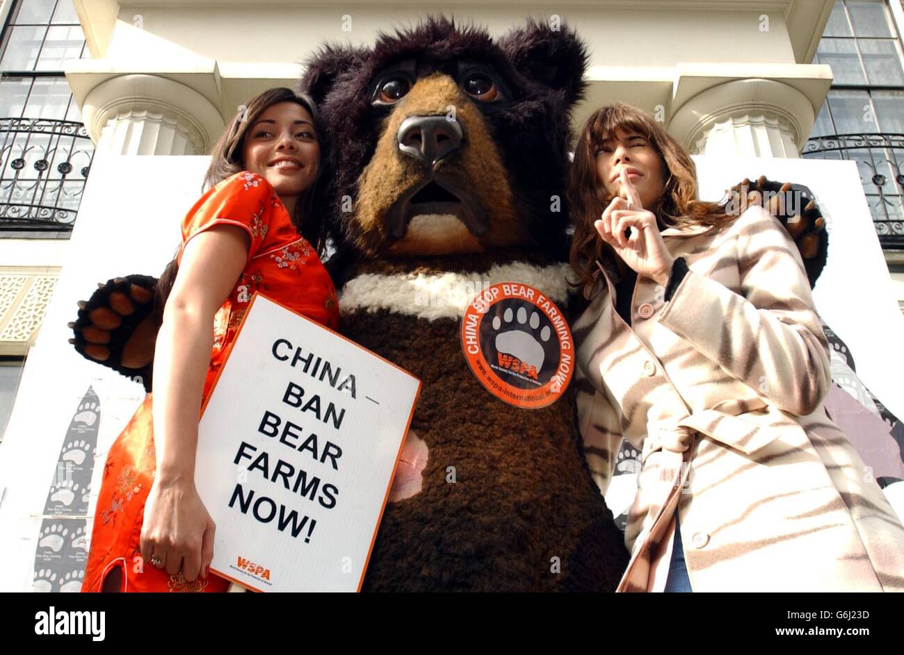 Bear Farming Protest Stock Photo - Alamy