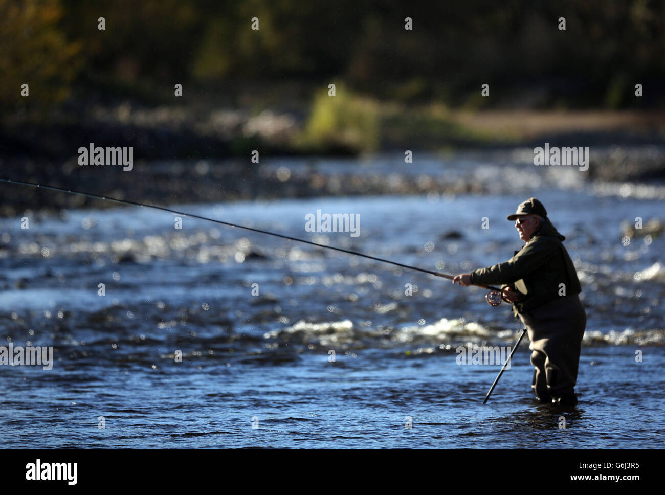 Annual fish migration Stock Photo - Alamy