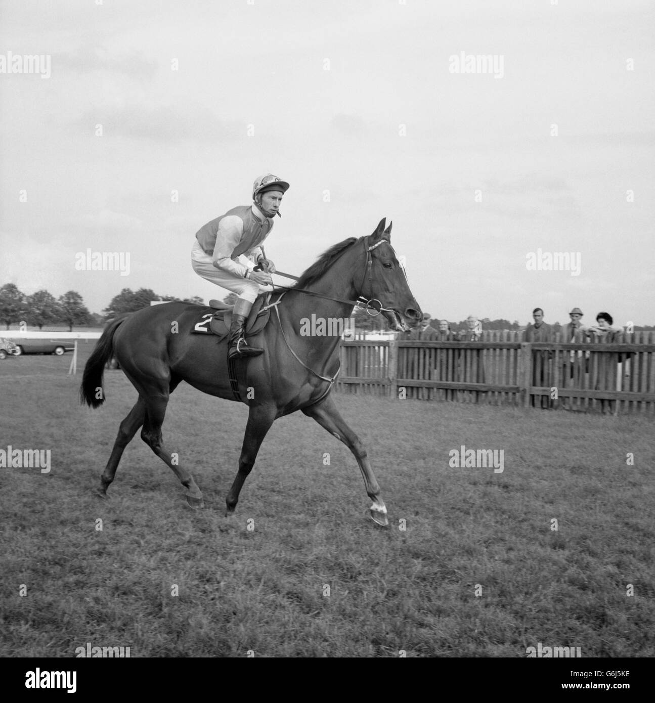 Lesterpiggottlip High Resolution Stock Photography and Images - Alamy